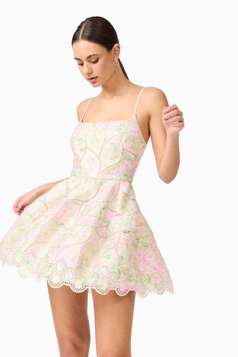 Indria Mini – Addiction Albury